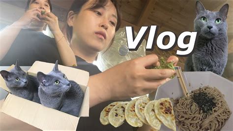 신혼부부 Vlog 이곳이 빨래지옥인가요 아니요 들기름 막국수에 군만두까지 추가한 천국이었어요 근데 이제 바베큐와