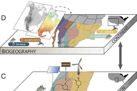 scientists advocate for integration of biogeography and behavioral
