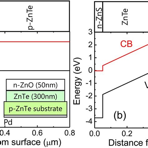 Electrode Structure And Energy Band Diagrams Of Znte Based Electrodes