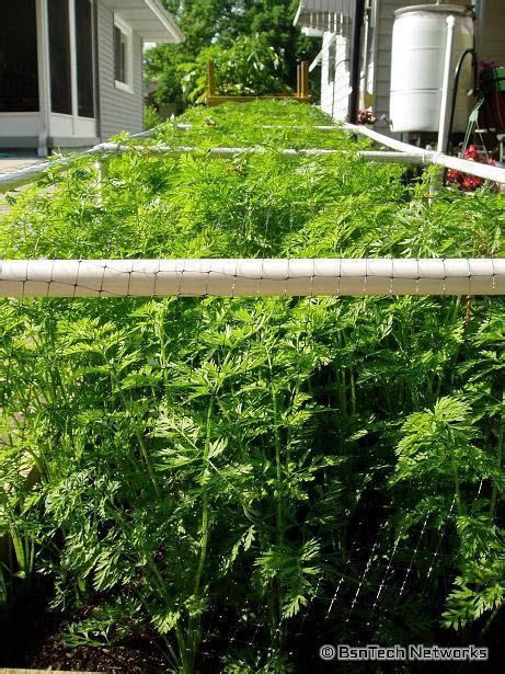 Pvc Irrigation System And Garden Update Bsntech Networks