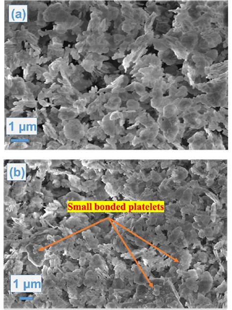 The Microstructure Of High Defect 26 5 Wt Kga 2 Kaolinite Suspension Download Scientific