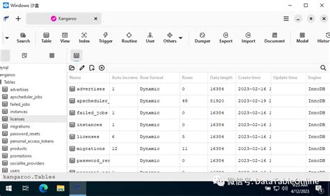 袋鼠数据库工具与 Windows Sandbox 墨天轮 袋鼠数据库工具与 Windows Sandbox 墨天轮