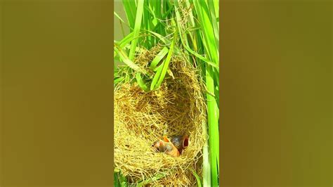 8 Hungry Mom Shot Youtube