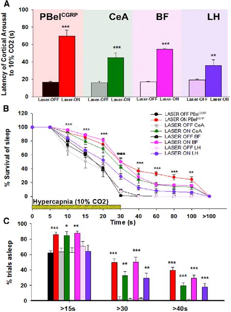 Comparing The Effects Of Pbel Cgrp Soma Inhibition To That Of Pbel Cgrp Download Scientific