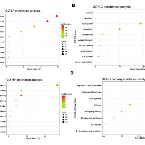 Go Annotation And Kegg Pathway Enrichment Analysis Of De Mrnas Go