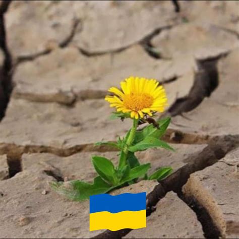 Видавництво РМ Друзі ми запускаємо не лише комікси Dc а й популярну в усьому світі серію