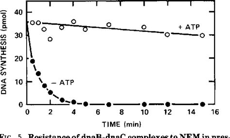 Figure 1 From The Dnab Dnac Replication Protein Complex Of Escherichia