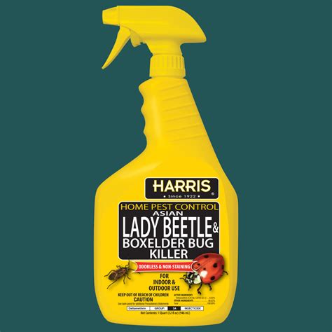 Insects