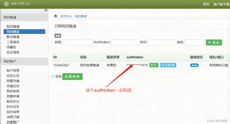 在自己电脑上的idea运行java web项目 如何用外网访问 idea启动的项目怎么让其他人访问 csdn博客