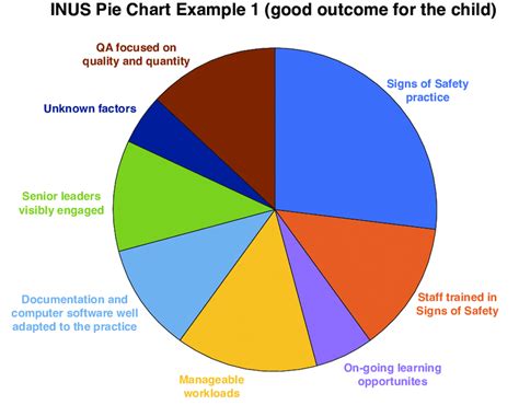 Pie Graphs Examples