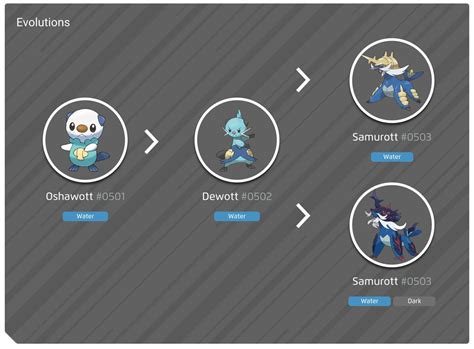 Oshawott Pokemon Evolution Chart Pokemon Scarlet And Violet Evolution