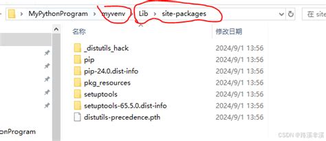 Python虚拟环境创建和使用总结pyvenvcfg Csdn博客