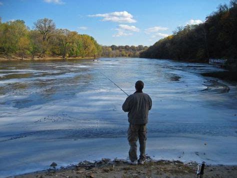 Delicious And Easy Walleye Fish Recipes