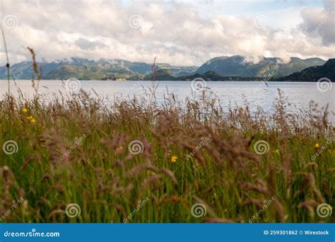 Field Of Grassy Foreground With A View Of The Fjord In Distance Under A