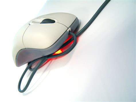 Free Mouse In Fire Stock Photo FreeImages
