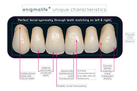 Denture Teeth Mould Guide Guides Online