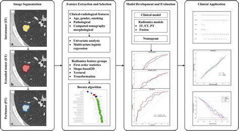 Ct Based Intratumoral And Peritumoral Radiomics Nomogram To Predict Spread Through Air Spaces In