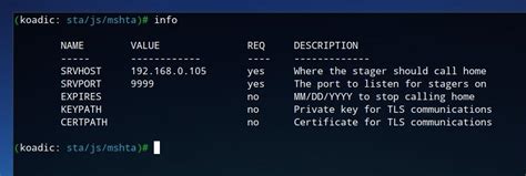 Hacking Using Koadic