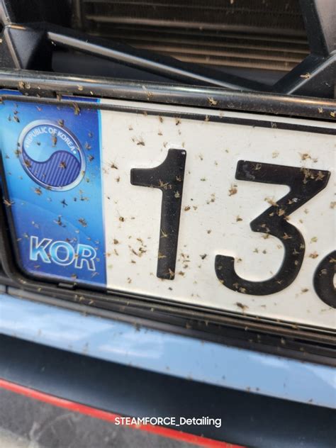 스팀포스 천안세차 천안스팀세차 벌레제거 벌레사체제거 아반떼n 디테일링세차 네이버 블로그