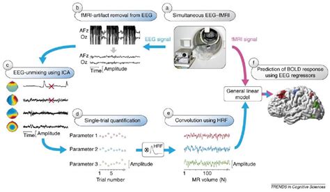 Simultaneous Eeg Fmri What Have We Learned And What Does The Future Hold