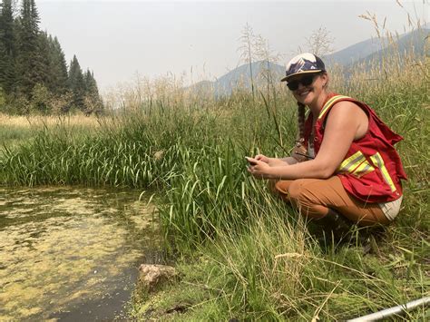 Wetland Classification An Introduction Columbia Mountains Institute