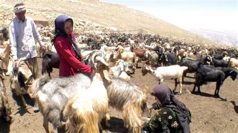 مستند دختر کوه نور به جشنواره بین المللی سینما حقیقت راه یافت ایسنا