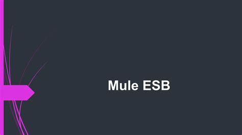 mule esb messages ppt