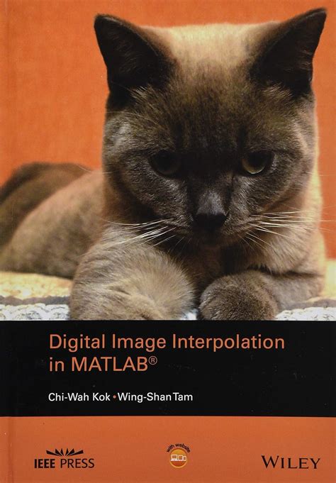 digital image interpolation in matlab medical books bank islamabad