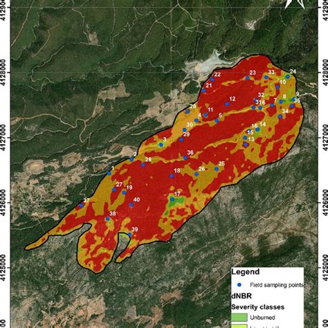 Spatial Distribution Of Field Sampling Points Download Scientific Diagram