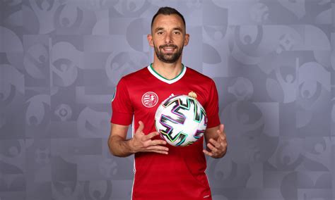 1280x769 Resolution Attila Fiola Hd 1280x769 Resolution Wallpaper Wallpapers Den