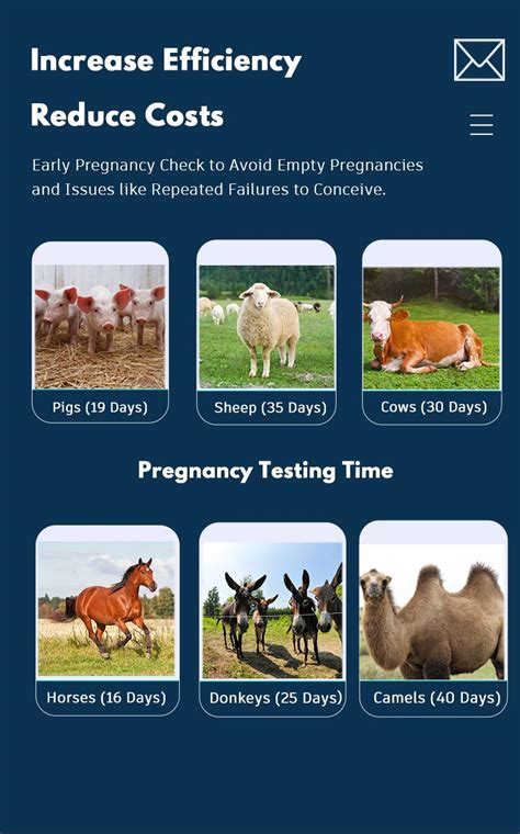 Livestock Portable Wireless Usg Machine Entry Level Model