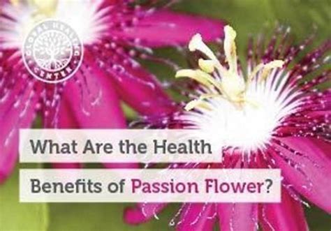 What Are The Health Benefits Of Passion Flower Nexus Newsfeed