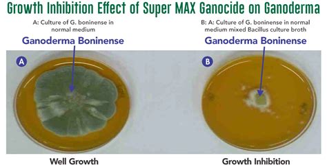 Bio Technology Ecobiome Sdn Bhd