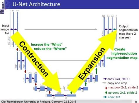 Understanding U Net Architecture For Image Segmentation By Cere Labs