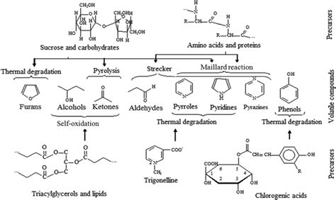 Schematic Representation Of The Relationship Between Precursor