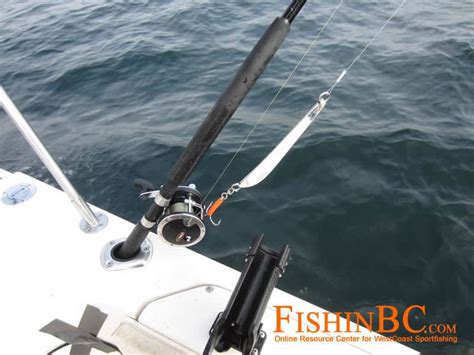 Best Halibut Fishing Gear Explained