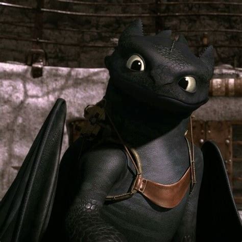 How To Train Your Dragon Toothless Standing Up How Train Your Dragon