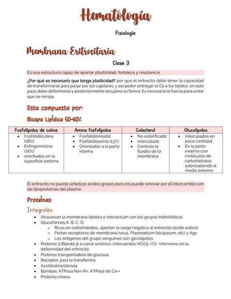 Membrana Eritrocitaria Clase 3 Health Apuntes Udocz