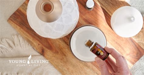 The Benefits Of Using Diffusers At Any Age Regina Graham