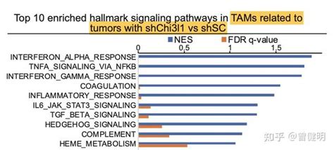 Gsea分析后的通路上调还是下调呢 知乎