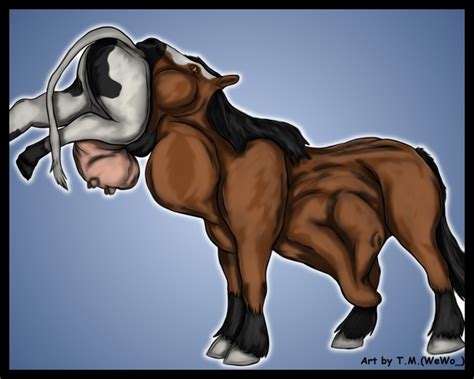 Rule 34 Bovine Cattle Duo Equine Female Feral Horse Mammal Vore Wewo