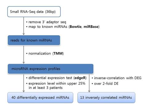 Figure S4 Workflow For Analyzing Small RNA Seq Data Download Scientific Diagram