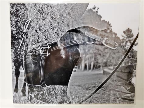 8x10 Un Matted Print Merging 2 Eventeny