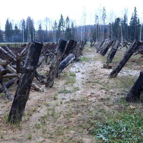 Nerf Gun Party Ideas Fun And Exciting Activities