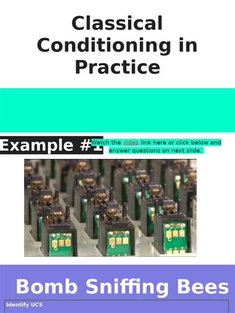 Classical Conditioning Real Life Scenarios 4 Pdf