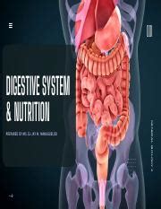 Exploring the Digestive System & Nutrition in General Biology 2 ...