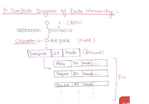 What Is Data Hierarchy