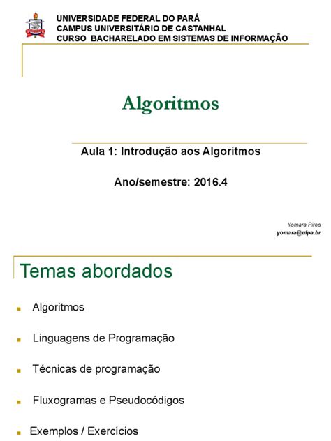 Introdução Aos Algoritmos Pdf Algoritmos Linguagem De Programação