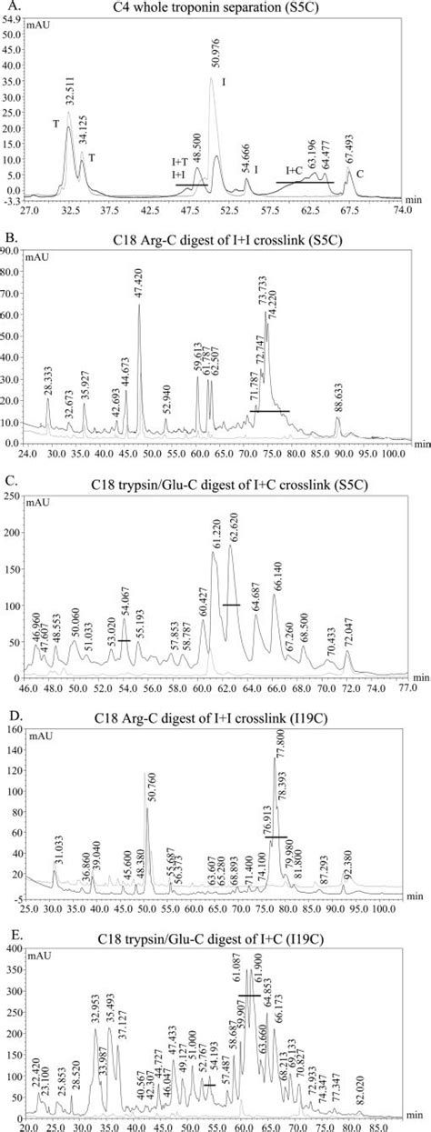 HPLC Of Peptides And Whole Proteins The Bar Indicates Either