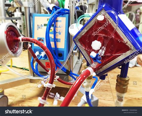 Ekg Heart Perfusion Ecmo Images Stock Photos Vectors Shutterstock
